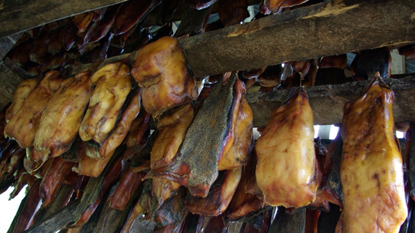 Hákarl | Matarauður Íslands